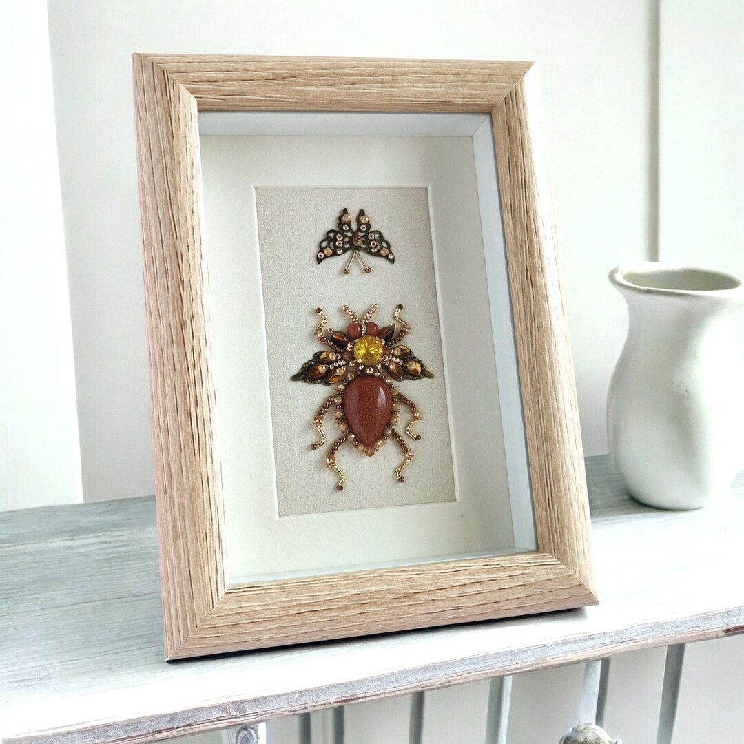Bug in Frame Quirky Home Decor Insect Display Beetle Lovers Mystery ...