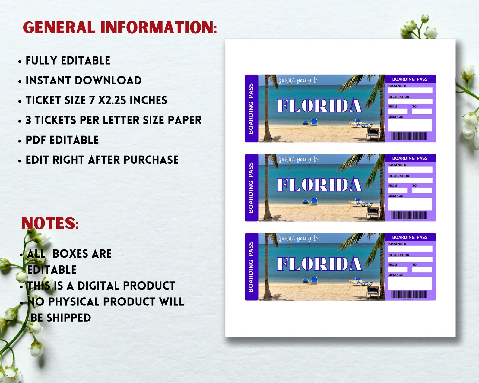 Printable Florida Surprise Trip Ticket, Youre Going to Florida, Gift ...