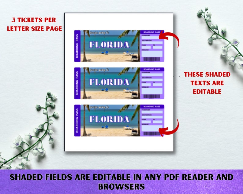 Printable Florida Surprise Trip Ticket, Youre Going to Florida, Gift ...