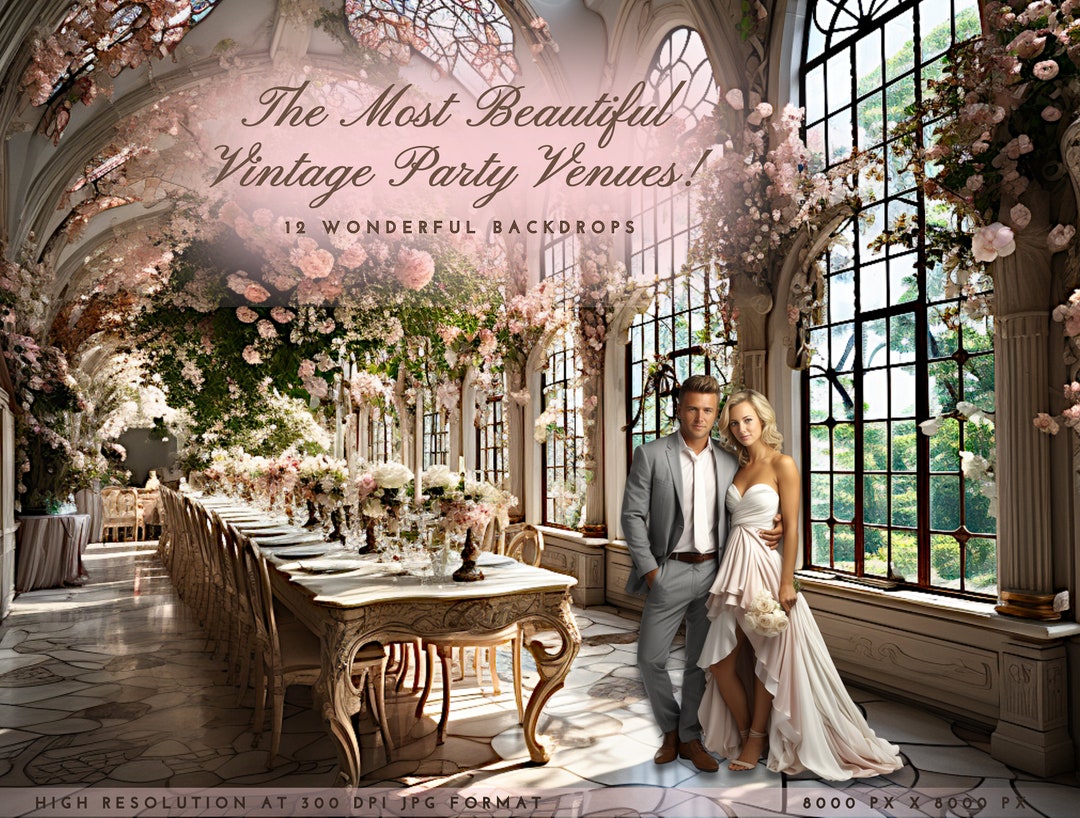 Vintage Digital Backdrop Party Venue Portrait Photography Overlay ...