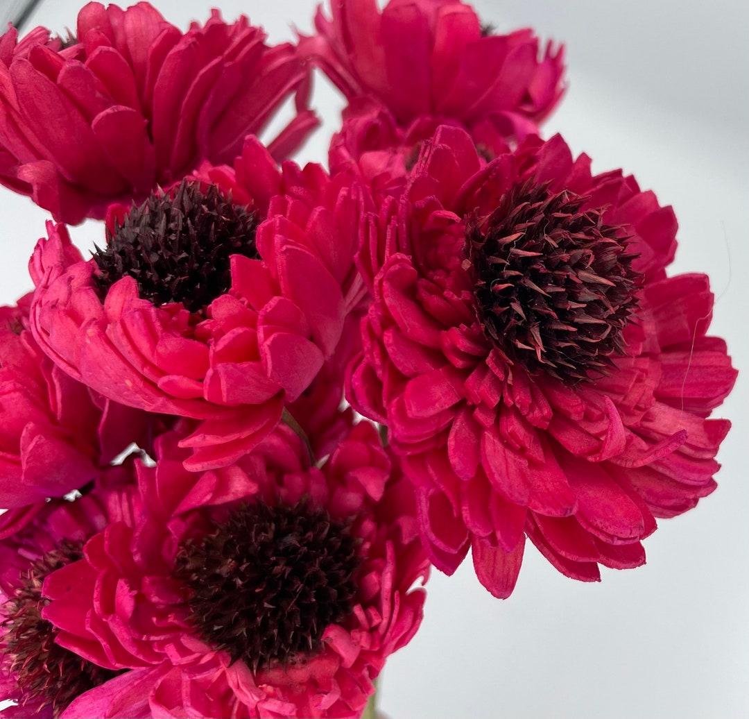 10 Stems Germini Pink Silk Flowers Artificial Flower Vintage Boho ...