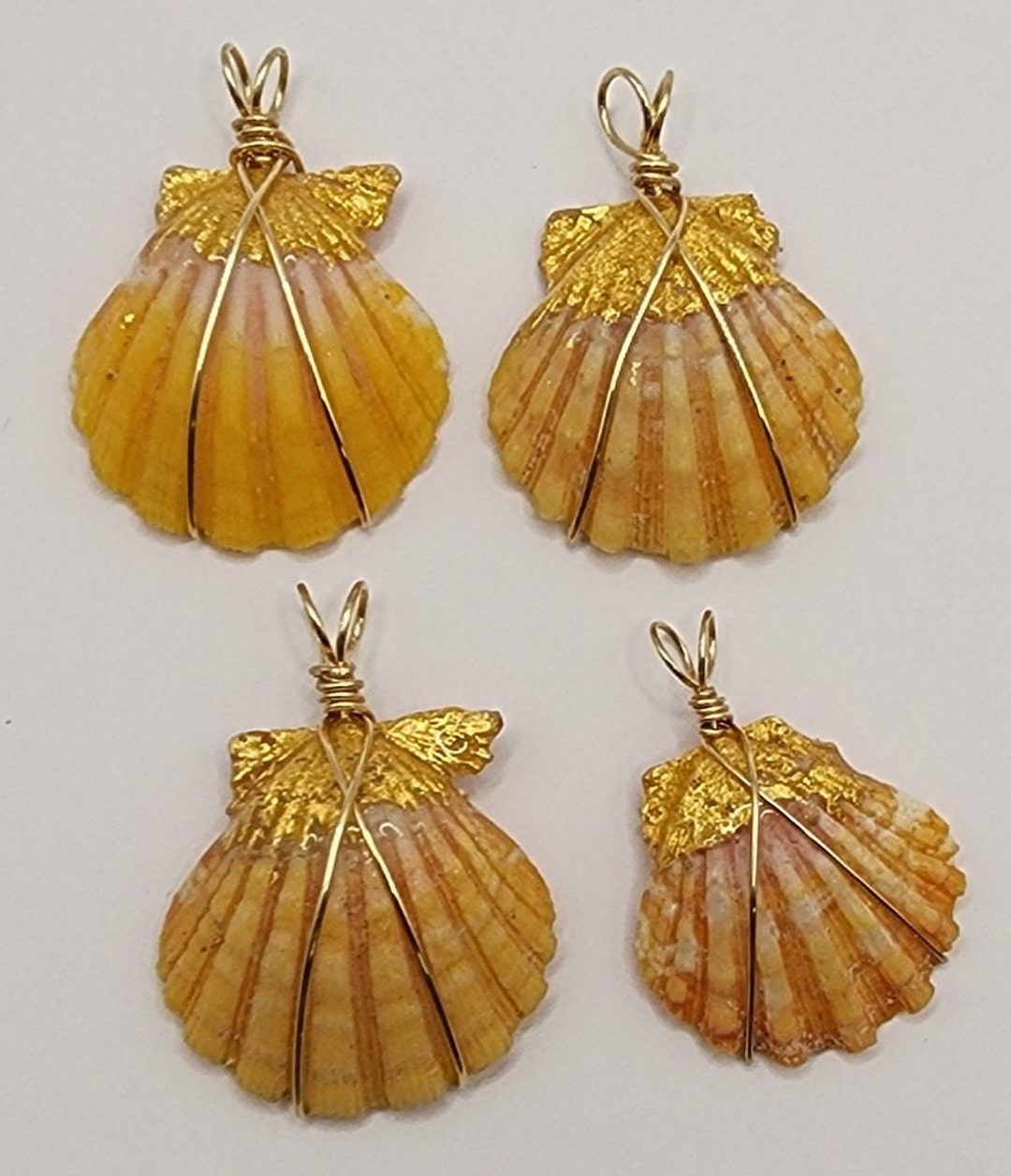 Wire Wrapped Sunrise Shells 24k Gold Gilding - Etsy