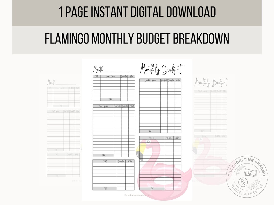 Monthly Budget Breakdown, Budget Breakdown, Budget, Debt Payoff ...