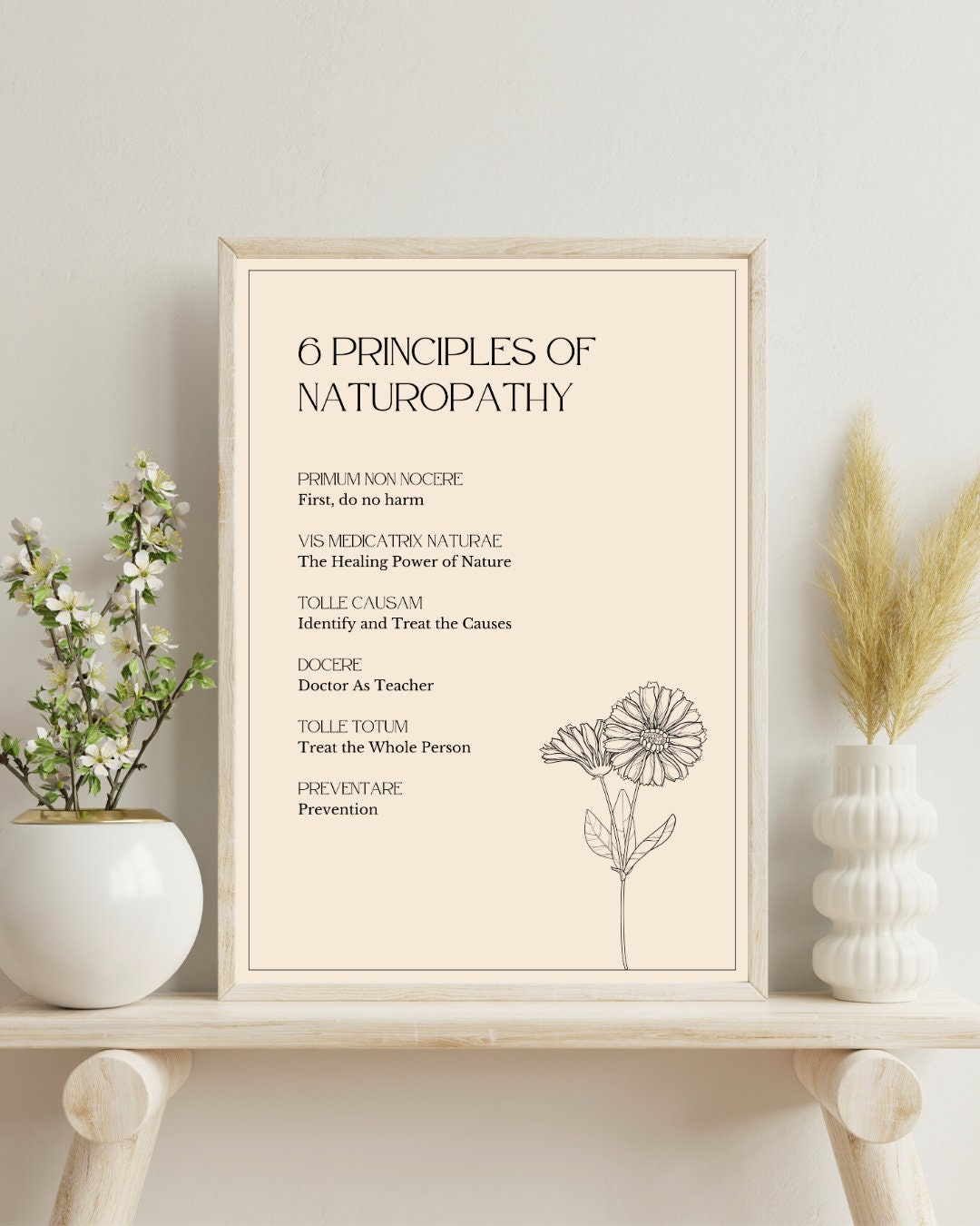The 6 Principles of Naturopathy Digital Print - Etsy