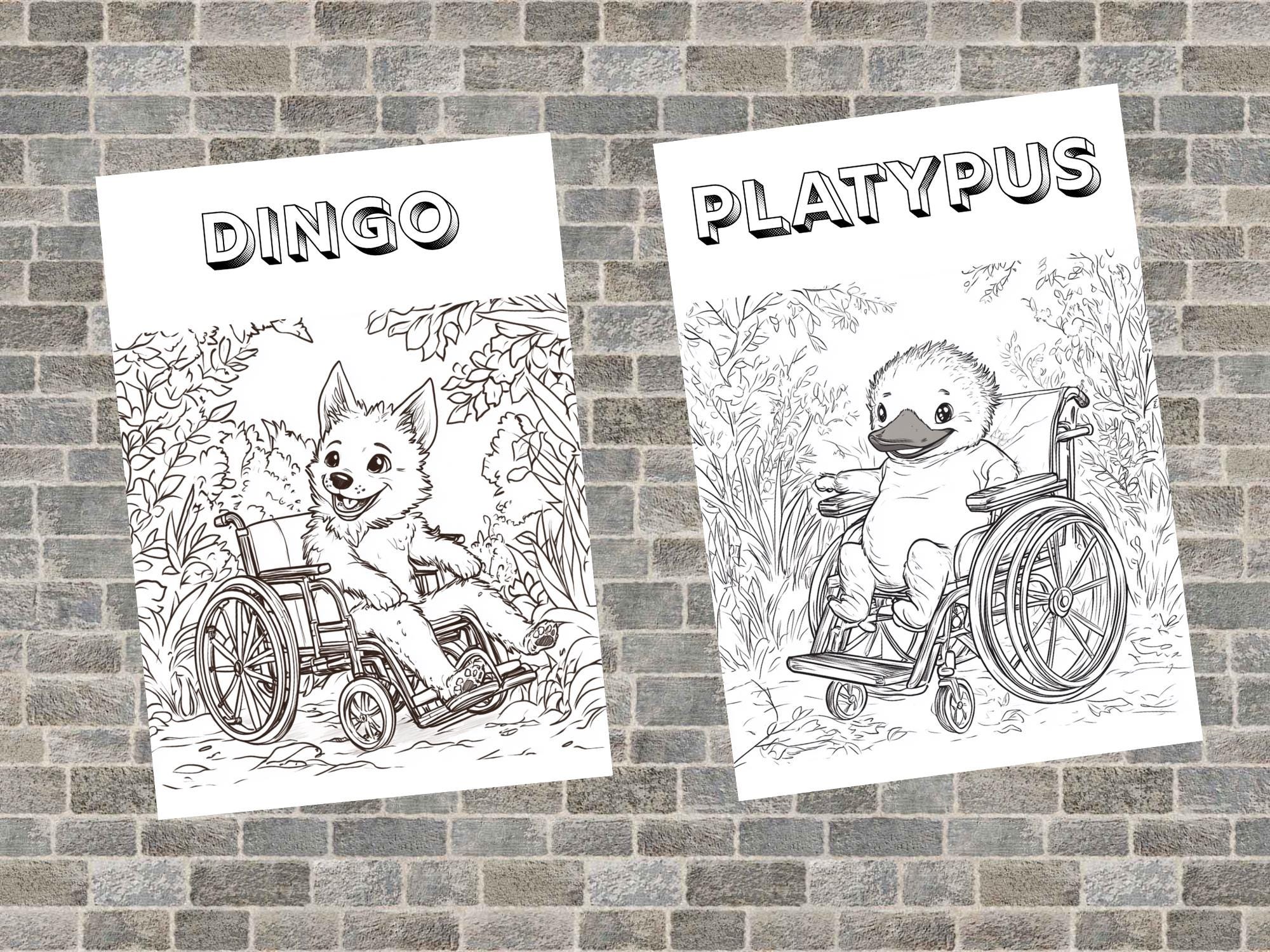 Australian Animals in Wheelchairs Colouring Book | Inclusive Kids ...