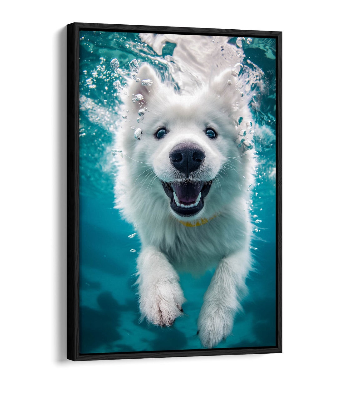 Cute Happy Smiling Samoyed Dog Swimming Underwater Wall Art Float ...