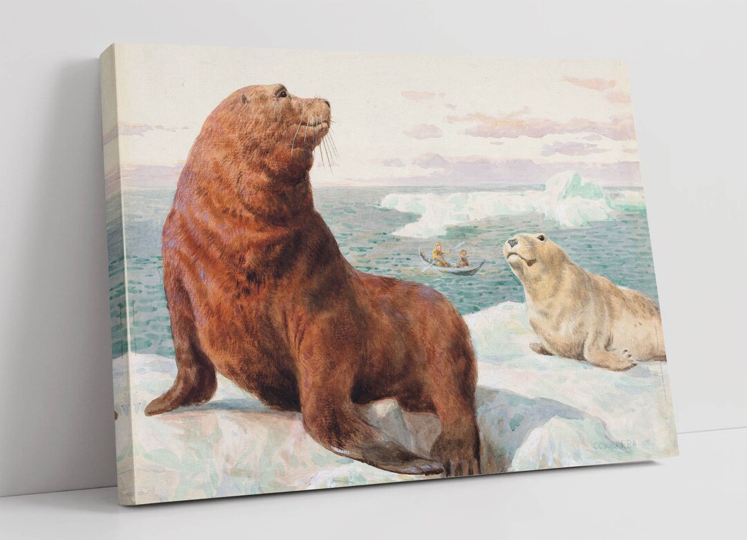 Sea Lions by Charles Collins wall Art Framed Canvas Picture Print Wall ...