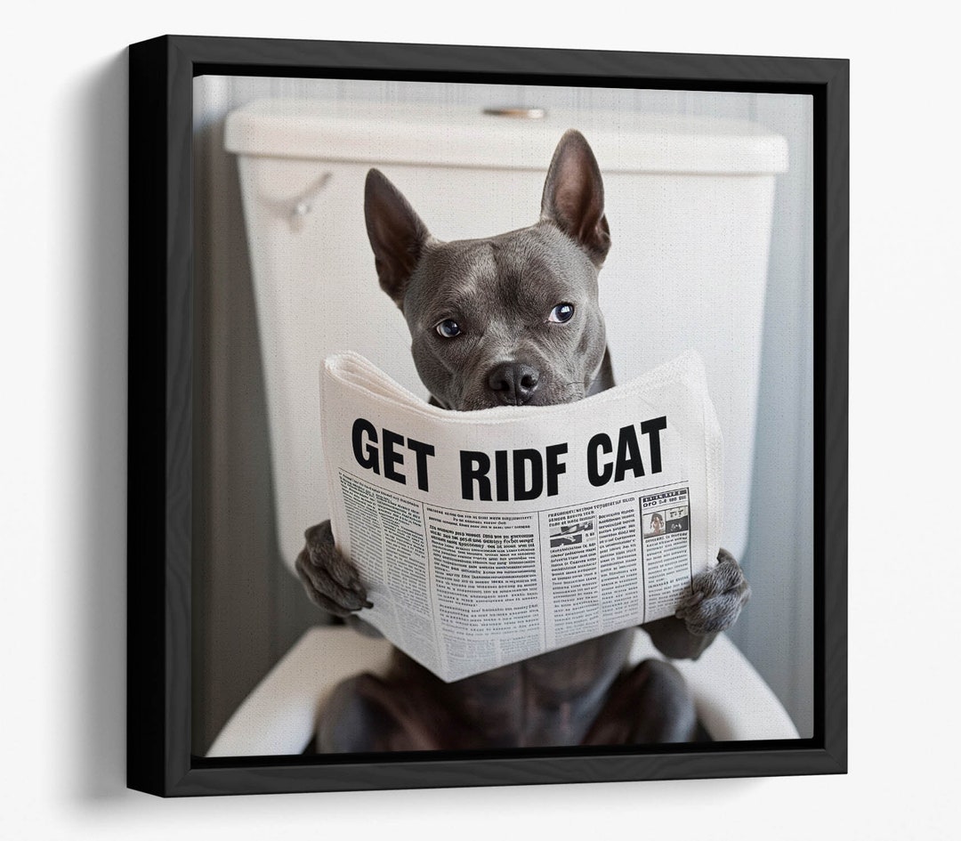 Grey Pitbull Dog Reading a Newspaper Sitting on a Toilet Square Wall ...
