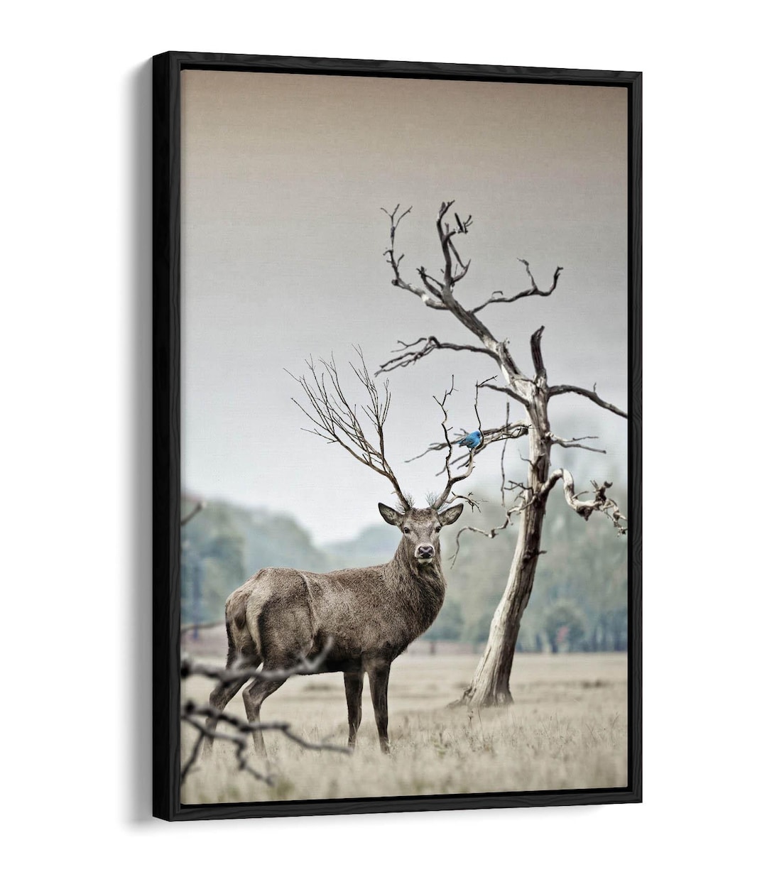 Majestic Stag Beside a Dead Tree wall Art Float Effect Framed Canvas ...