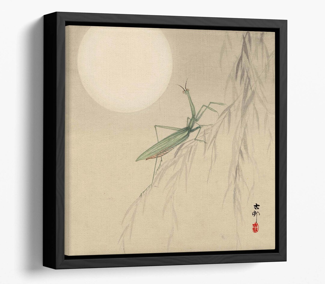 Praying Mantis and Full Moon Wall Art Float Effect Framed Canvas Print ...