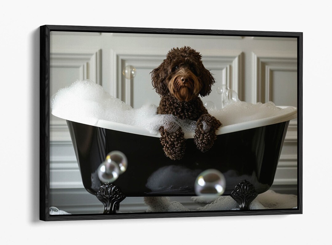 Cute Chocolate Labradoodle in Bubble Bathtub Wall Art Float Effect ...