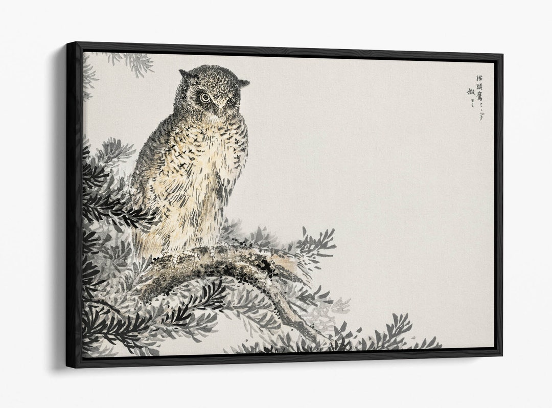 Numata Kashu, Japanese Scops Owl and Fir Tree wall Art Float Effect ...