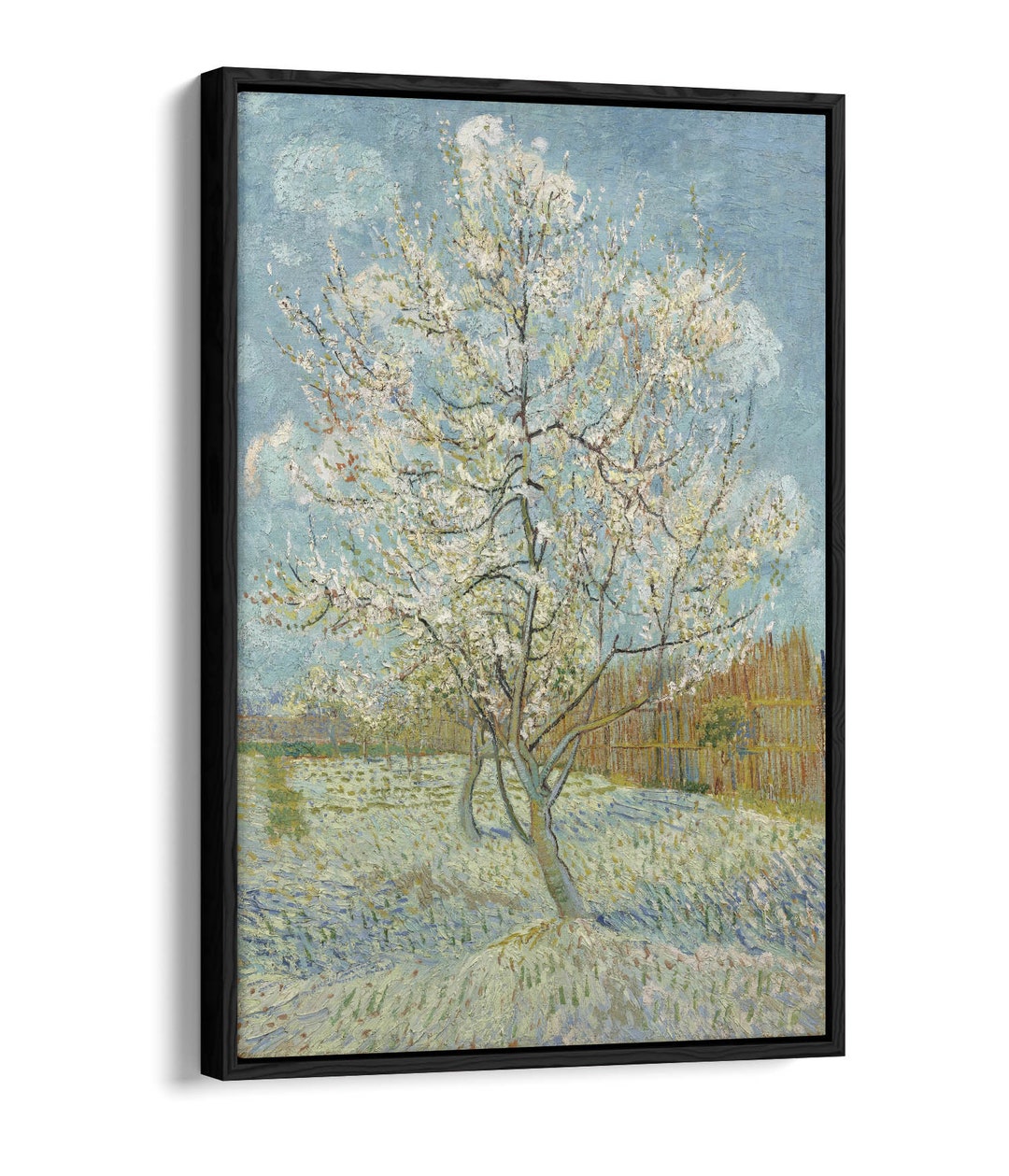 The Pink Peach Tree by Vincent Van Wall Art Float Effect Framed Canvas ...
