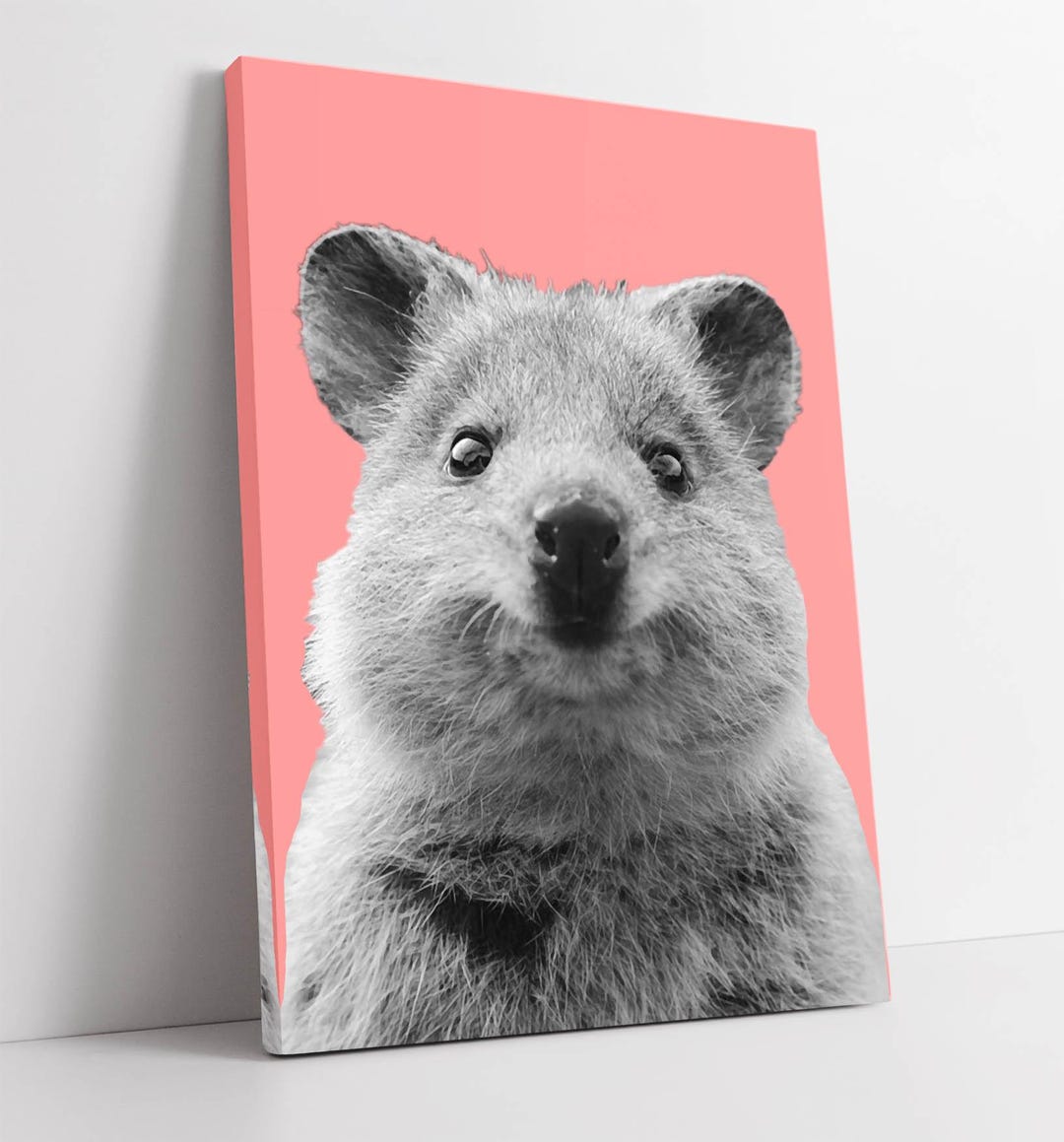 Quokka With Pink Background Wall Art Framed Canvas Picture Print Wall ...