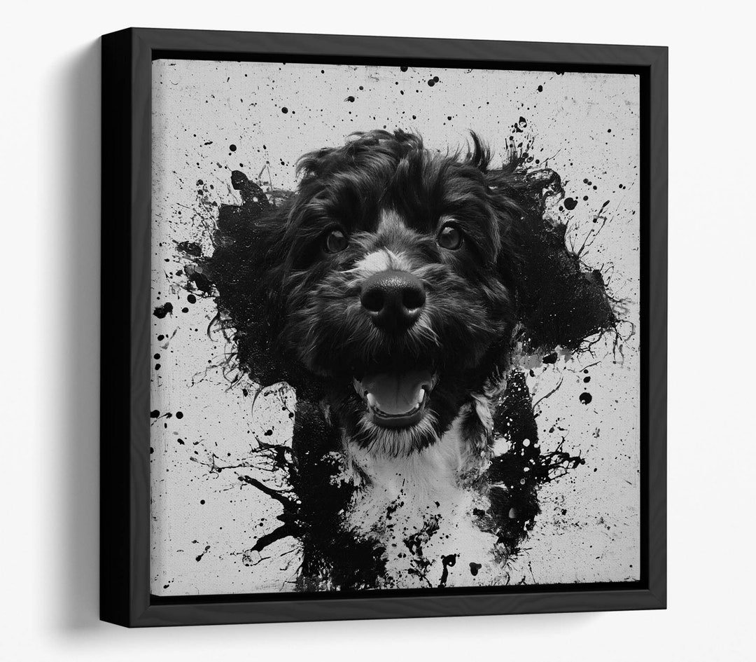 Black and White Cavapoo Dog Splash Wall Art Float Effect Framed Canvas Print - Etsy