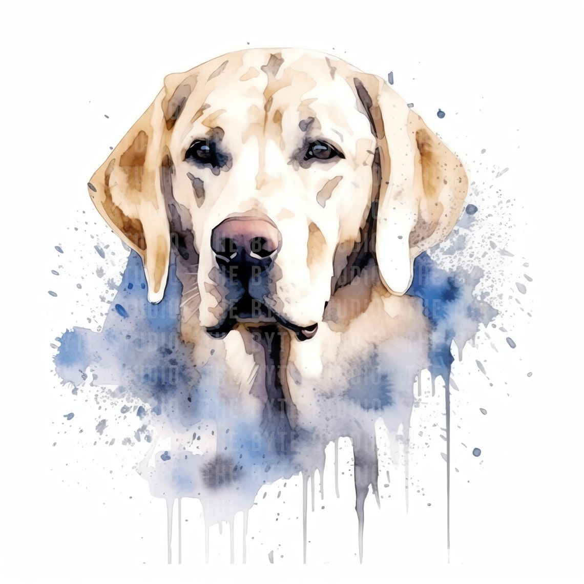 White Labrador Clipart - 15 High Quality Jpgs - Digital Crafts ...