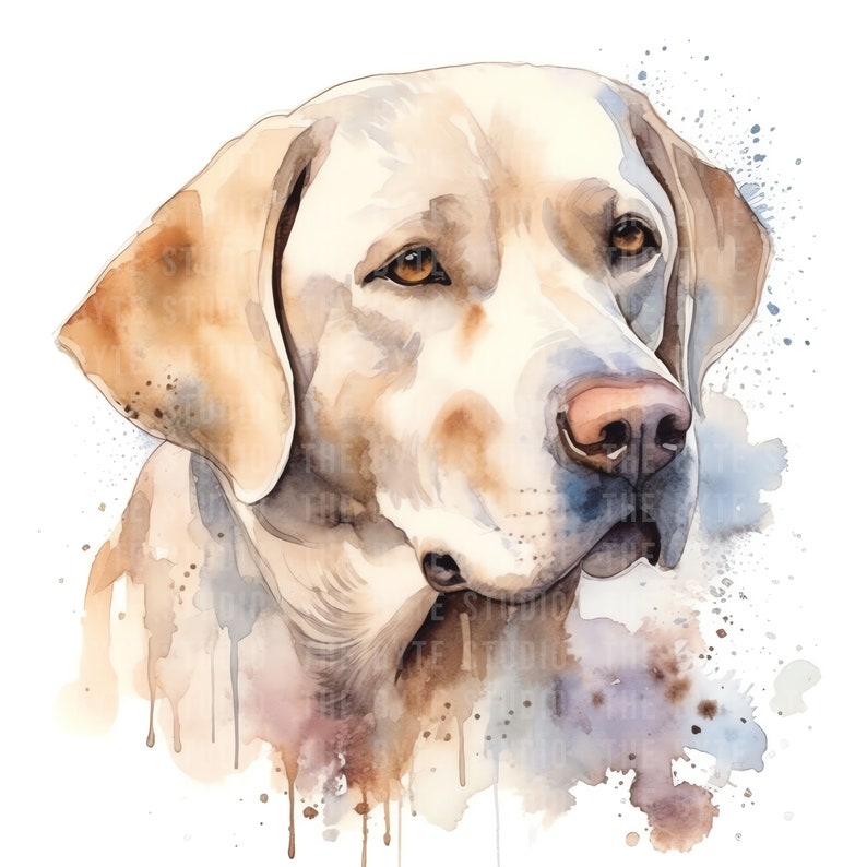 White Labrador Clipart - 15 High Quality Jpgs - Digital Crafts ...