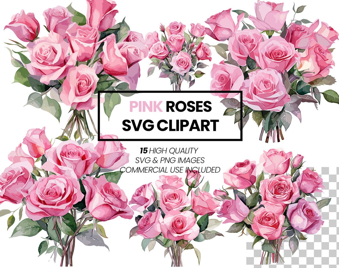 Orange Roses Clipart - 15 High Quality SVG and PNG Files - Transparent ...