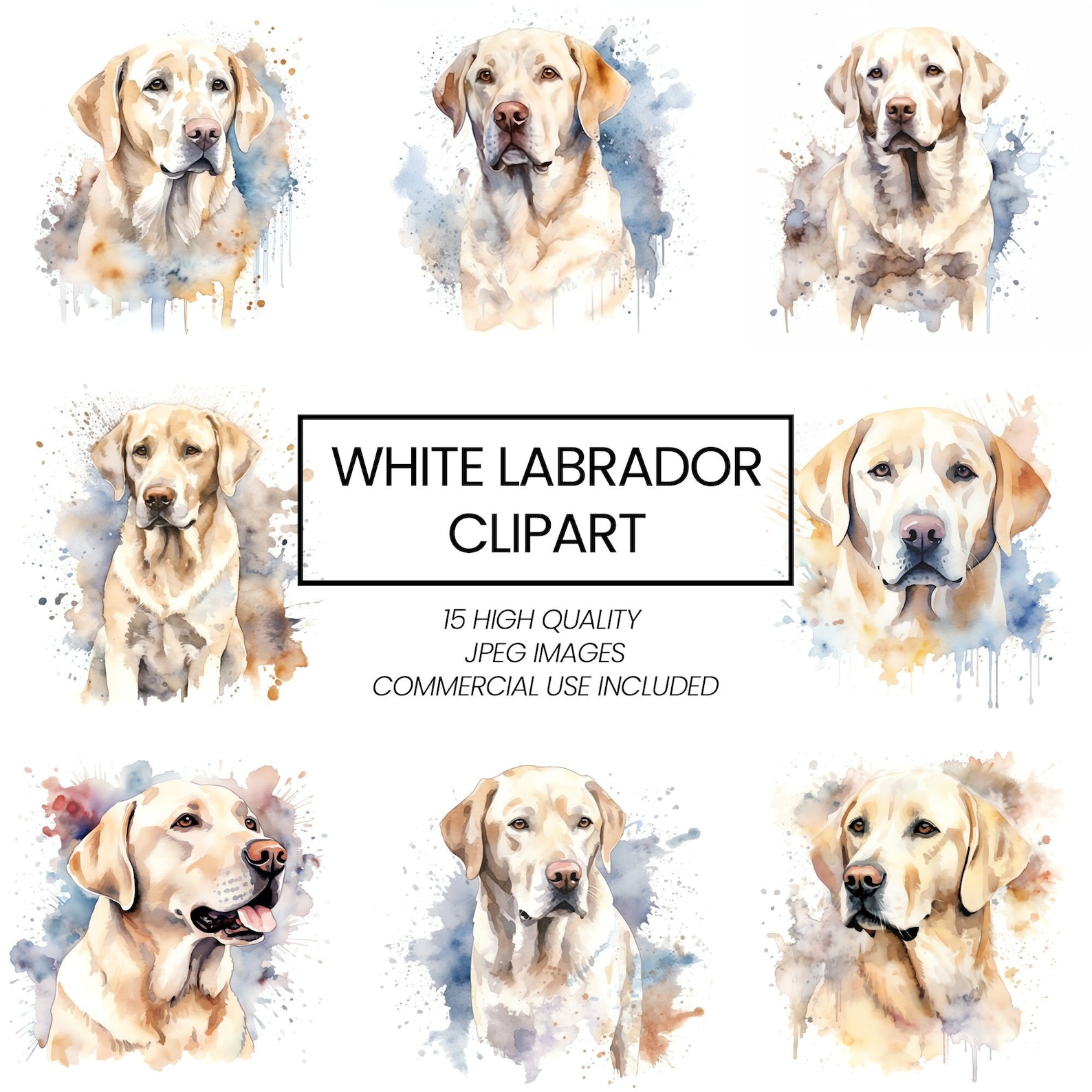 White Labrador Clipart - 15 High Quality Jpgs - Digital Crafts ...