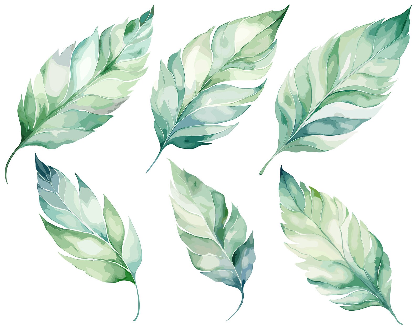 Green Leaf Clipart - 15 High Quality SVG and PNG Files - Wedding ...
