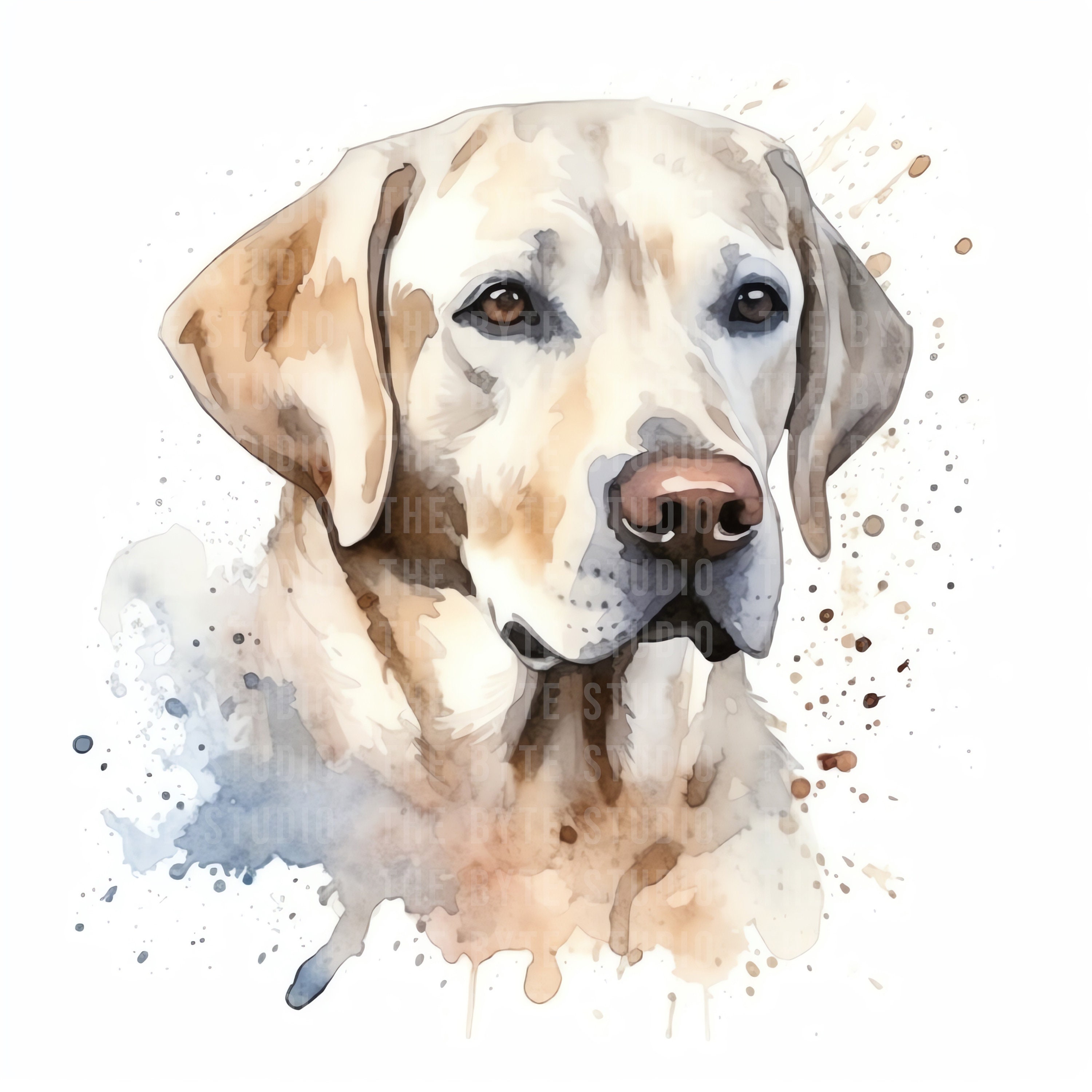 White Labrador Clipart - 15 High Quality Jpgs - Digital Crafts ...