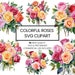 Colorful Roses Clipart - 15 High Quality SVG and PNG Files - Transparent Background - Digital ...