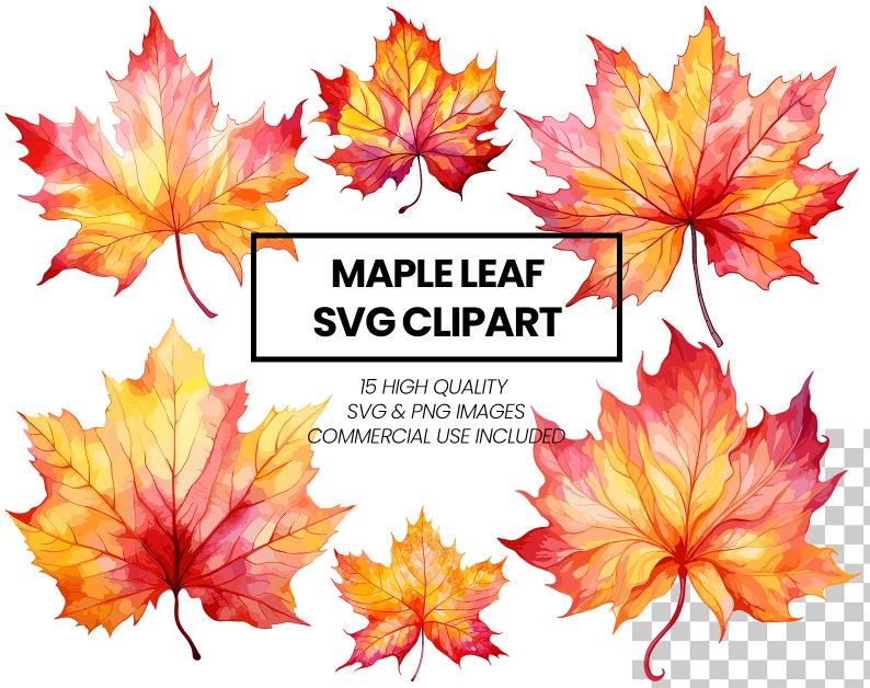 Maple Leaf Clipart - 15 High Quality SVG and PNG Files - Wedding ...