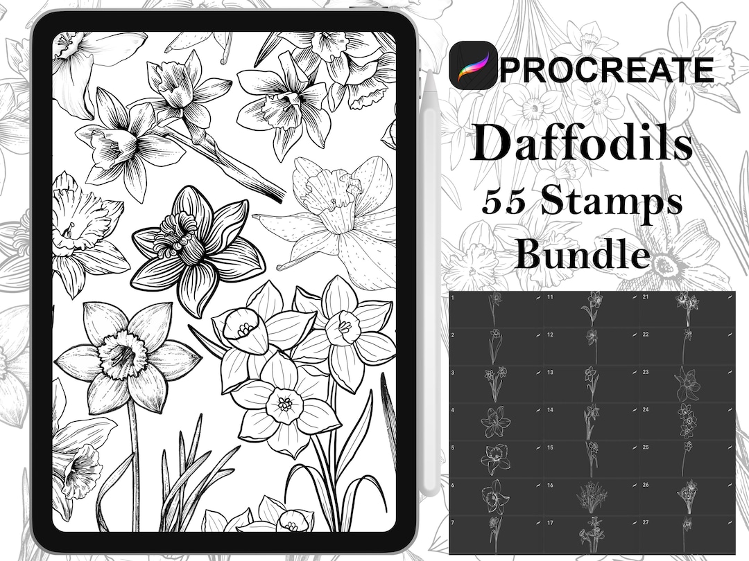 Procreate - 55 Daffodils/ Narcissus Tattoo Stamps , Hand Drawn Tattoo ...