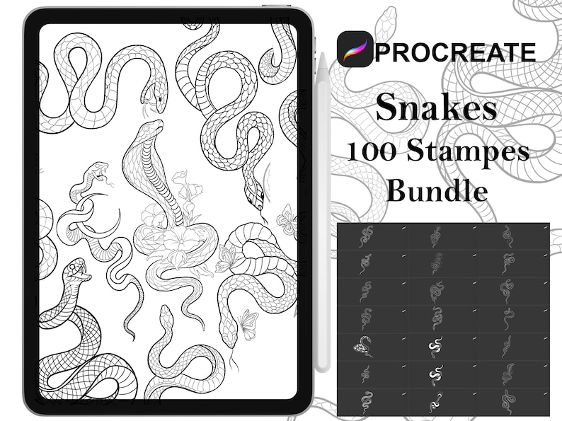 Procreate - 100 Snakes and Reptiles Stamps, Hand Drawn and Digitized ...