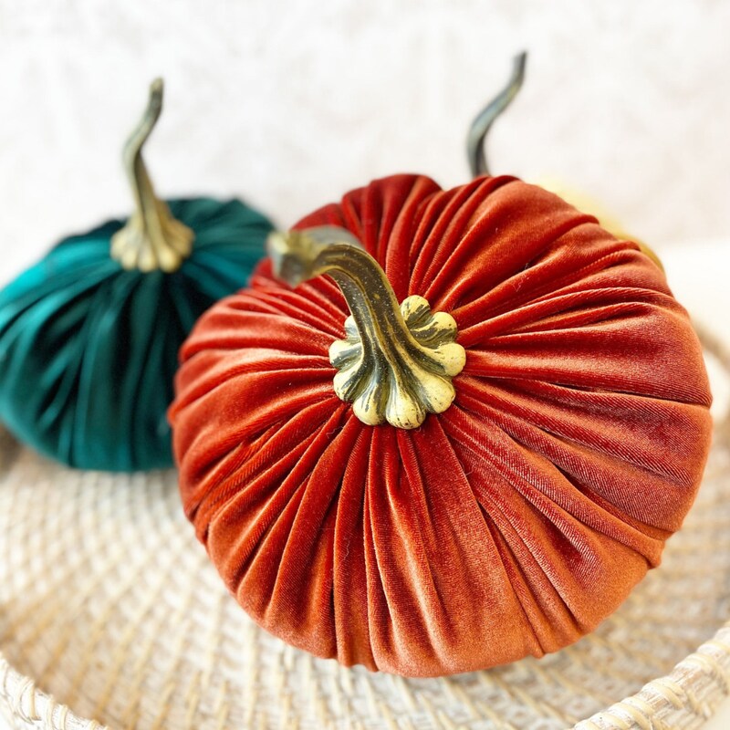 Velvet Pumpkin - Etsy