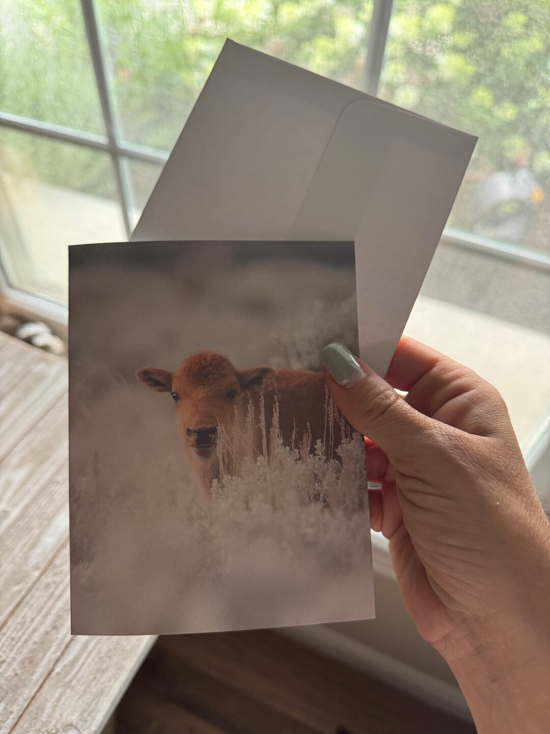 Handmade Note Card / Bison Note Cards / Bison Calf /affordable Note ...