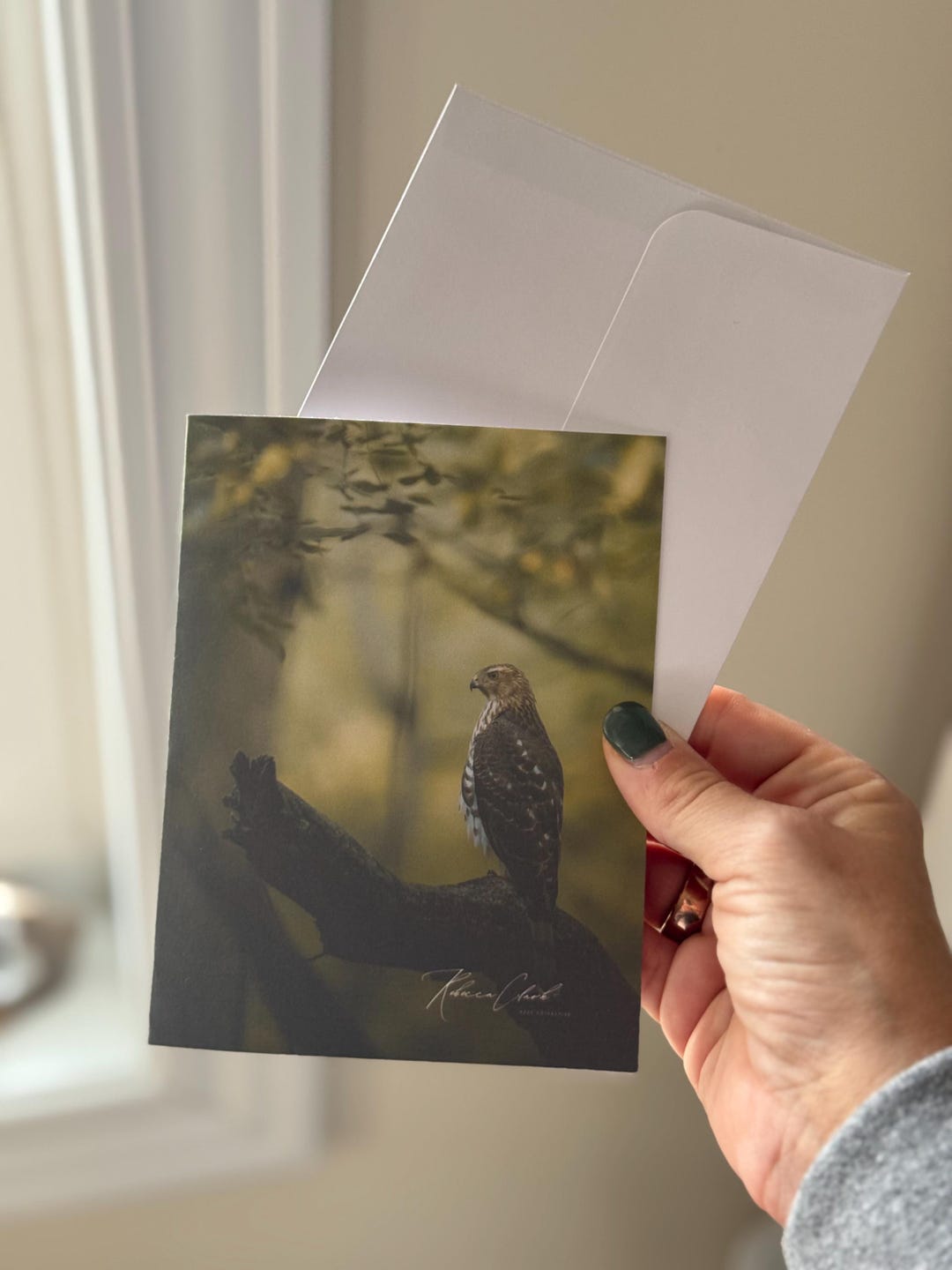 Handmade Note Card / Hawk Note Cards /affordable Note Cards ...