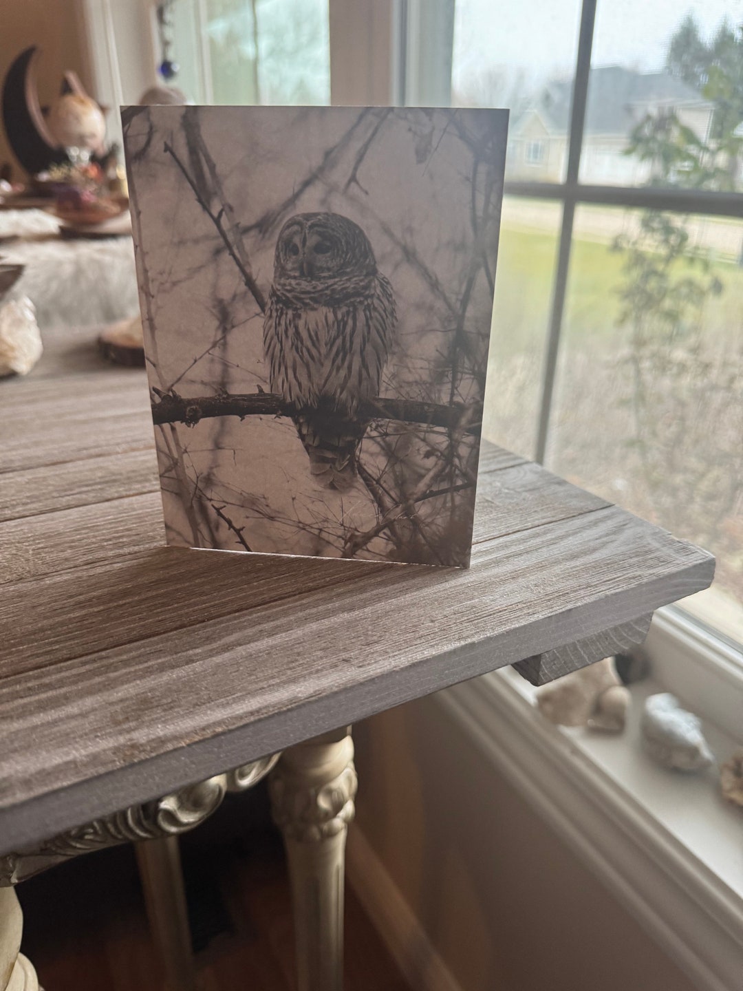 Handmade Note Card / Owl Note Cards / Barred Owl /dark / Photography ...