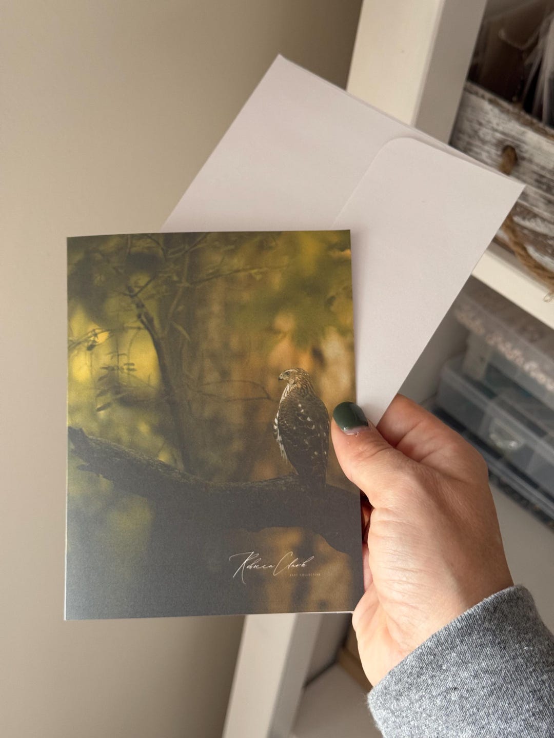 Handmade Note Card / Hawk Note Cards /affordable Note Cards ...