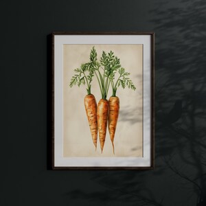 Carrots | Rustic Cabin Kitchen Aesthetic, Still Life Carrots Food Art ...
