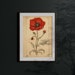 Poppy Art Medieval Style, Poppy Art, Spring Awakening, Trending Now - Etsy