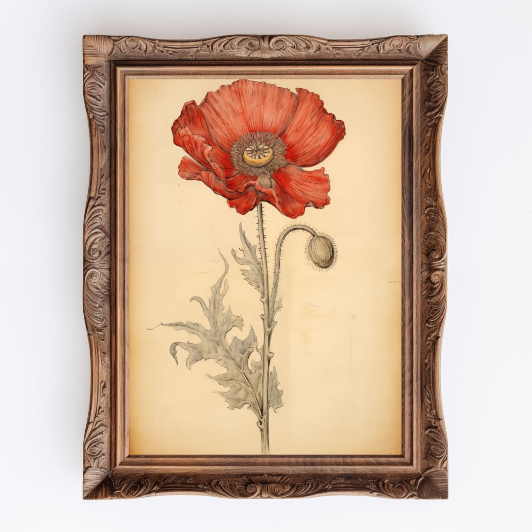 Medieval Poppy Art: Botanical Spring Print (digital Download) - Etsy