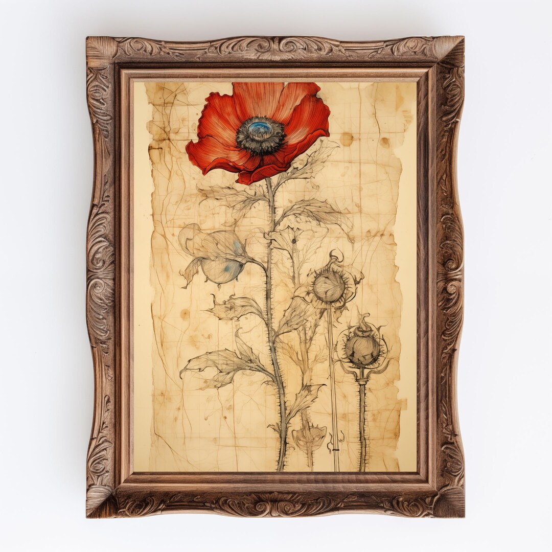 Poppy Decor | Poppy Printable, Medieval Flower, Coquette Room Decor ...