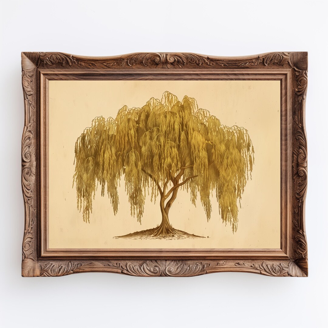 Antique Willow Tree Art Print: Minimalist Botanical Wall Decor (digital ...