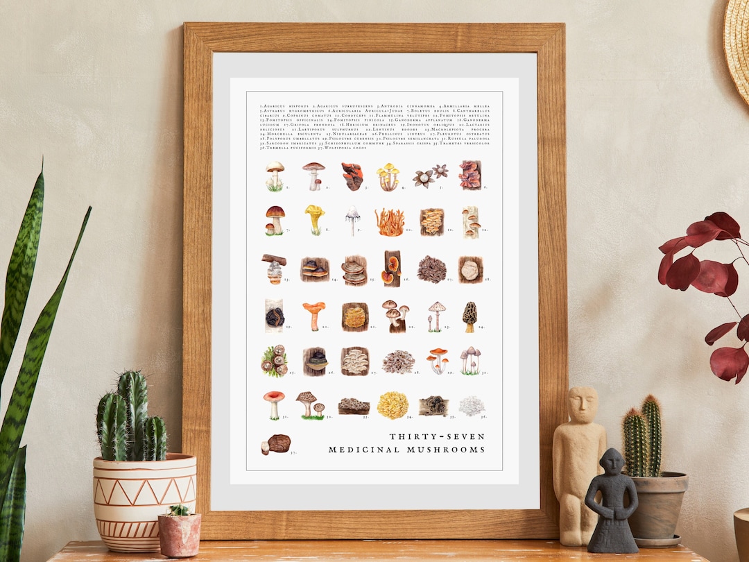 Medicinal Mushrooms Digital Print Hand-painted Fungi Poster Botanical ...