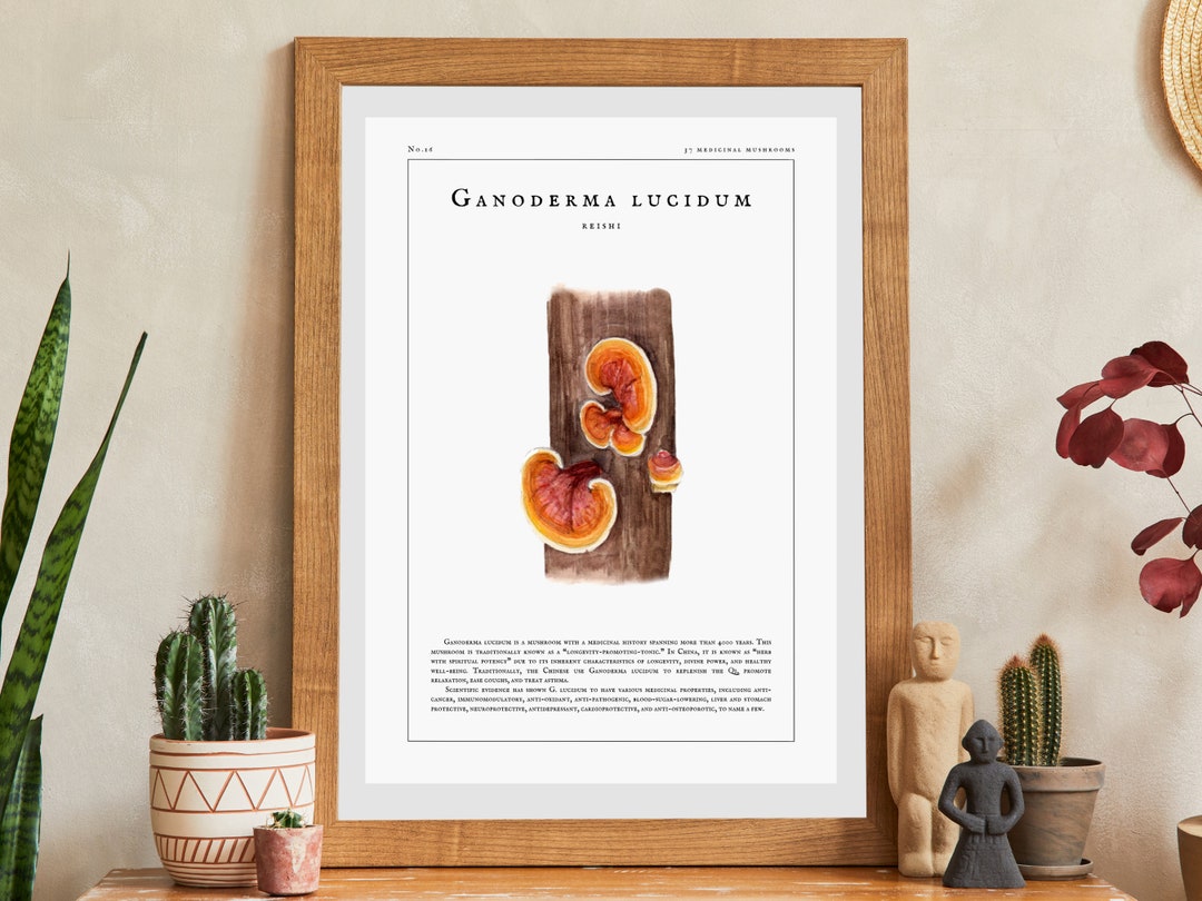 Reishi Mushroom Poster Hand-painted Fungi Print Medicinal Mushrooms ...