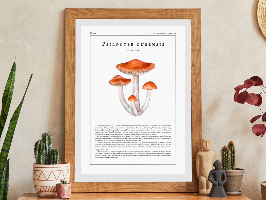 Magic Mushroom Poster Hand-painted Fungi Print Medicinal - Etsy
