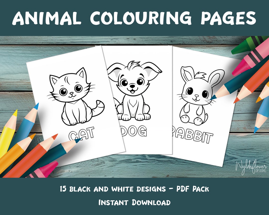 INSTANT DOWNLOAD Toddler Colouring Pages Toddler - Etsy