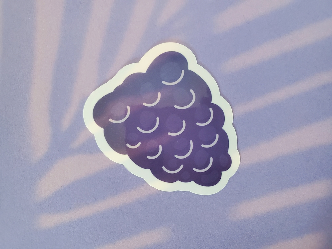 Blackberry Sticker | Cute Fruit Sticker for Laptop | Aesthetic Water ...
