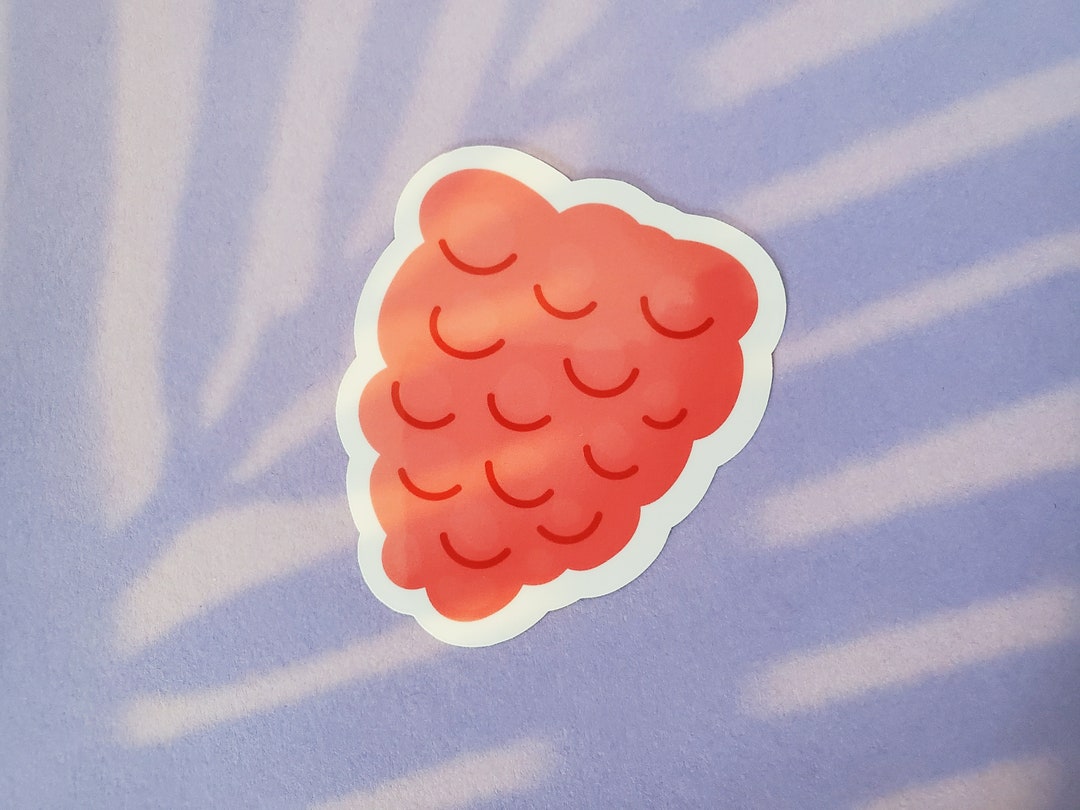 Raspberry Sticker | Cute Fruit Sticker for Laptop | Aesthetic Water ...