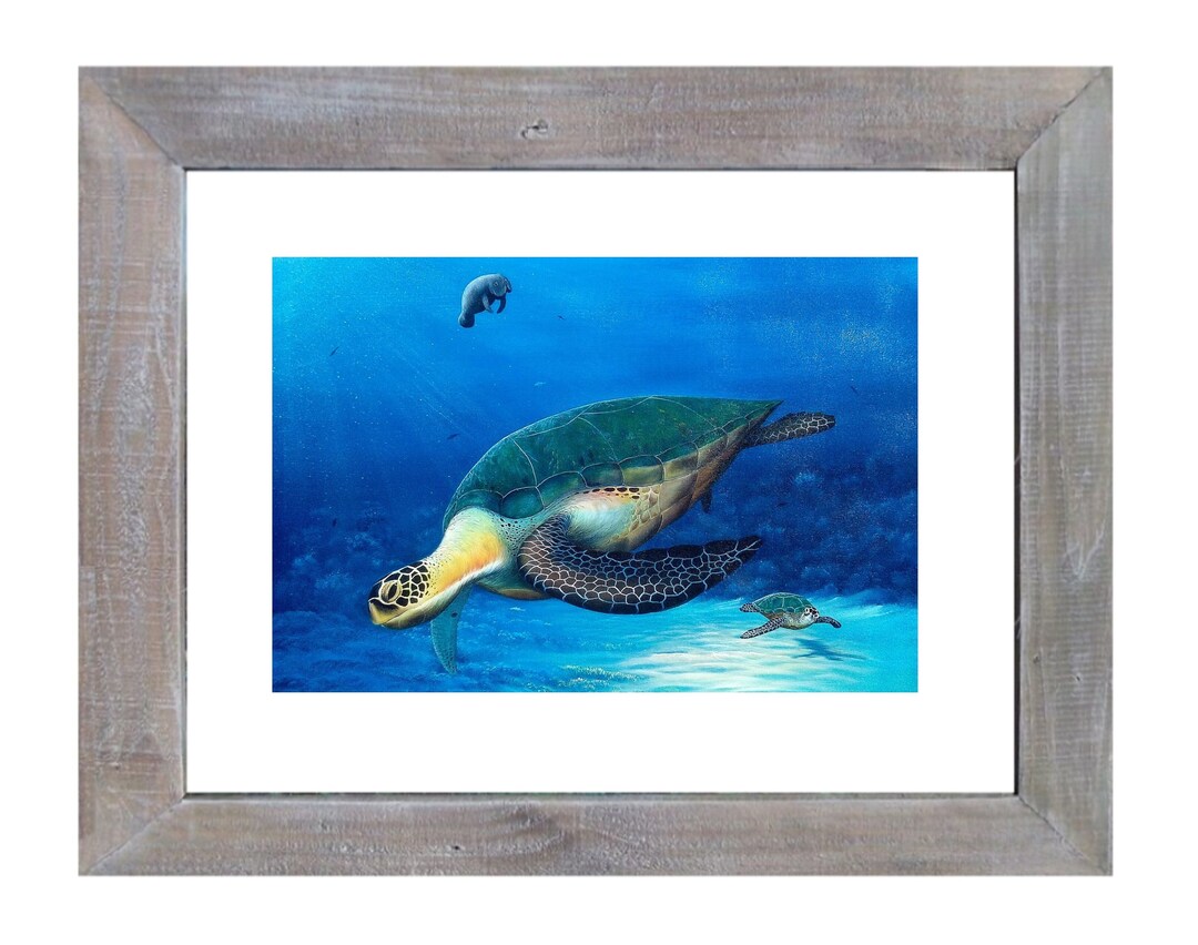 Sea Turtles and Manatee Signed Numbered Limited Edition Framed Matted ...