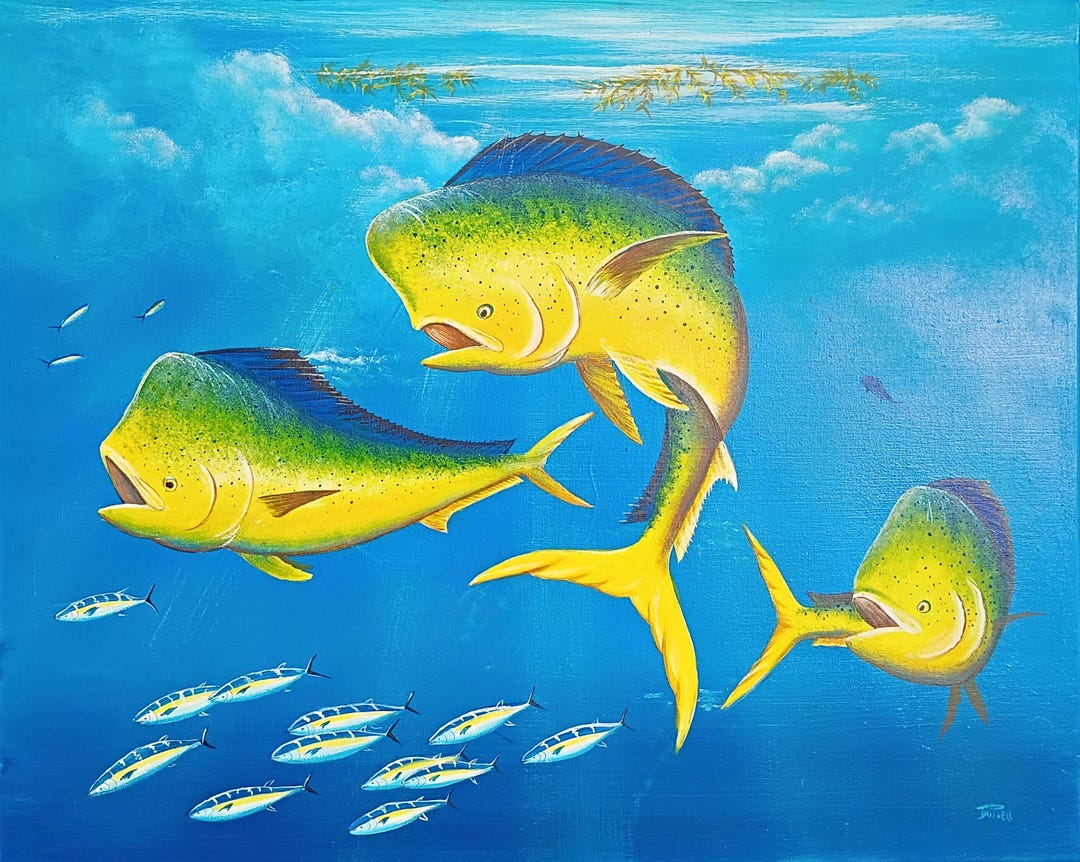 Mahi Fishing Feeding Original Hand Painted on Gallery Wrapped Canvas - Etsy