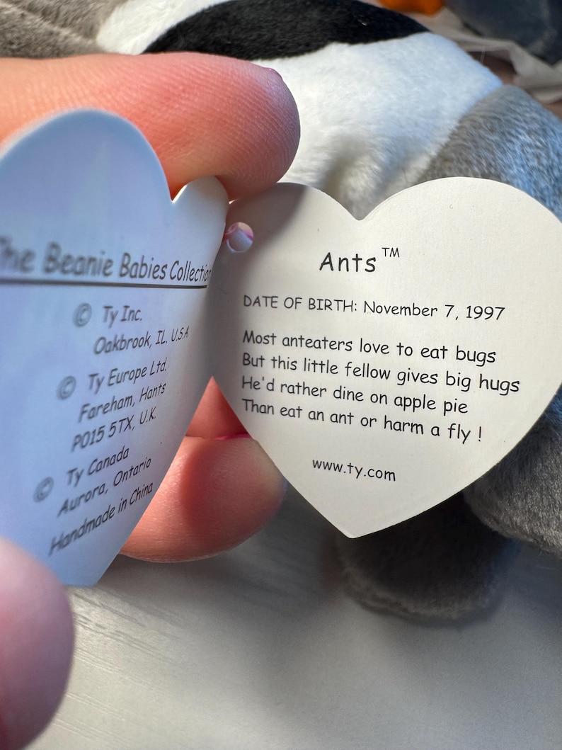 Rare Tag Error Ants the Anteater Ty Beanie Baby - Retired - Etsy