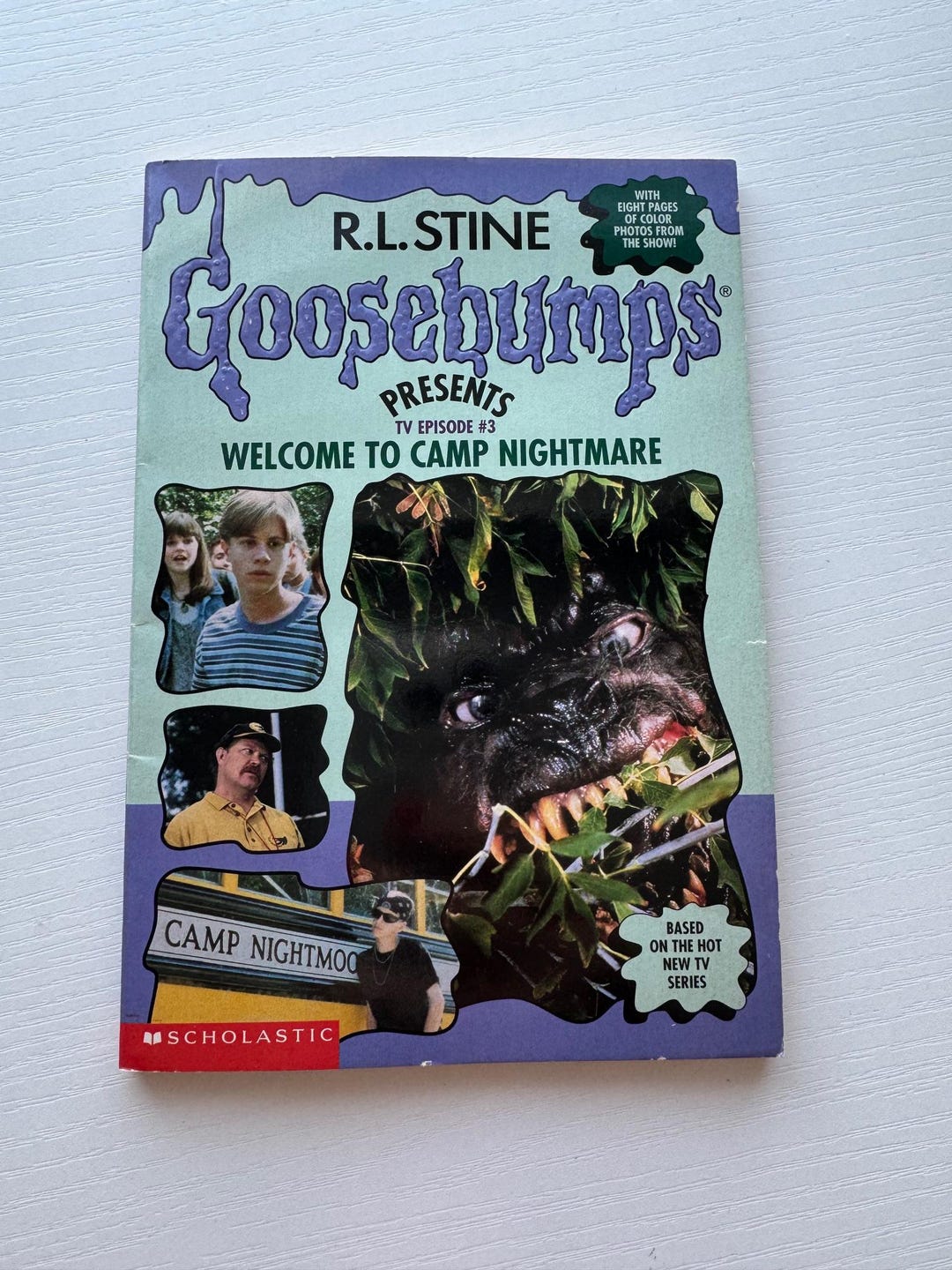 Welcome to Camp Nightmare | Goosebumps Camp Nightmare Book | Goosebumps ...