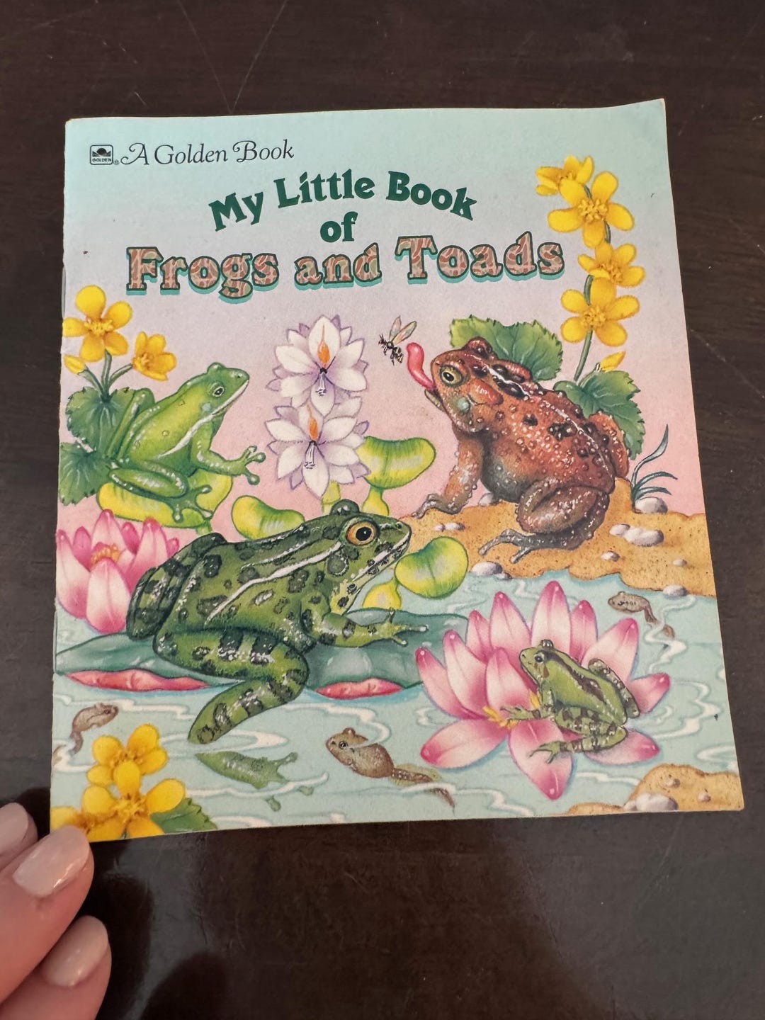 Vintage My Little Book of Frogs and Toads | Golden Book - Etsy